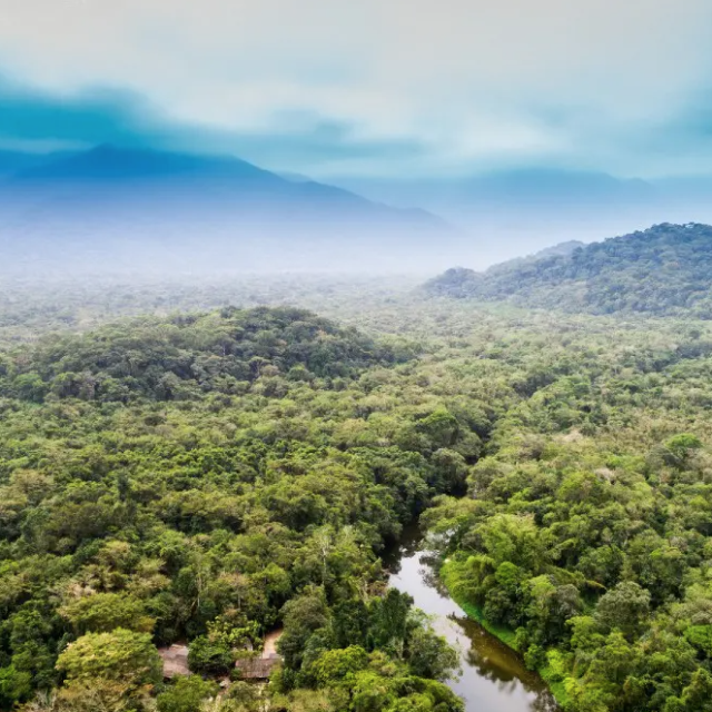 Amazon rainforest dieback: it will be a leopard spot | Rinnovabili