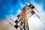 Global electricity consumption 2024: record surge driven by AI and EVs