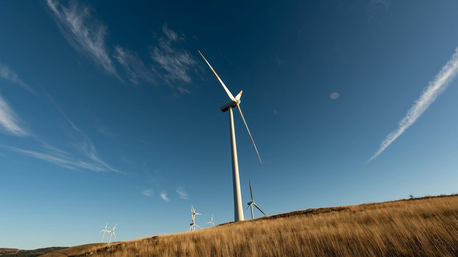Global wind power: record 117 GW installed in 2024