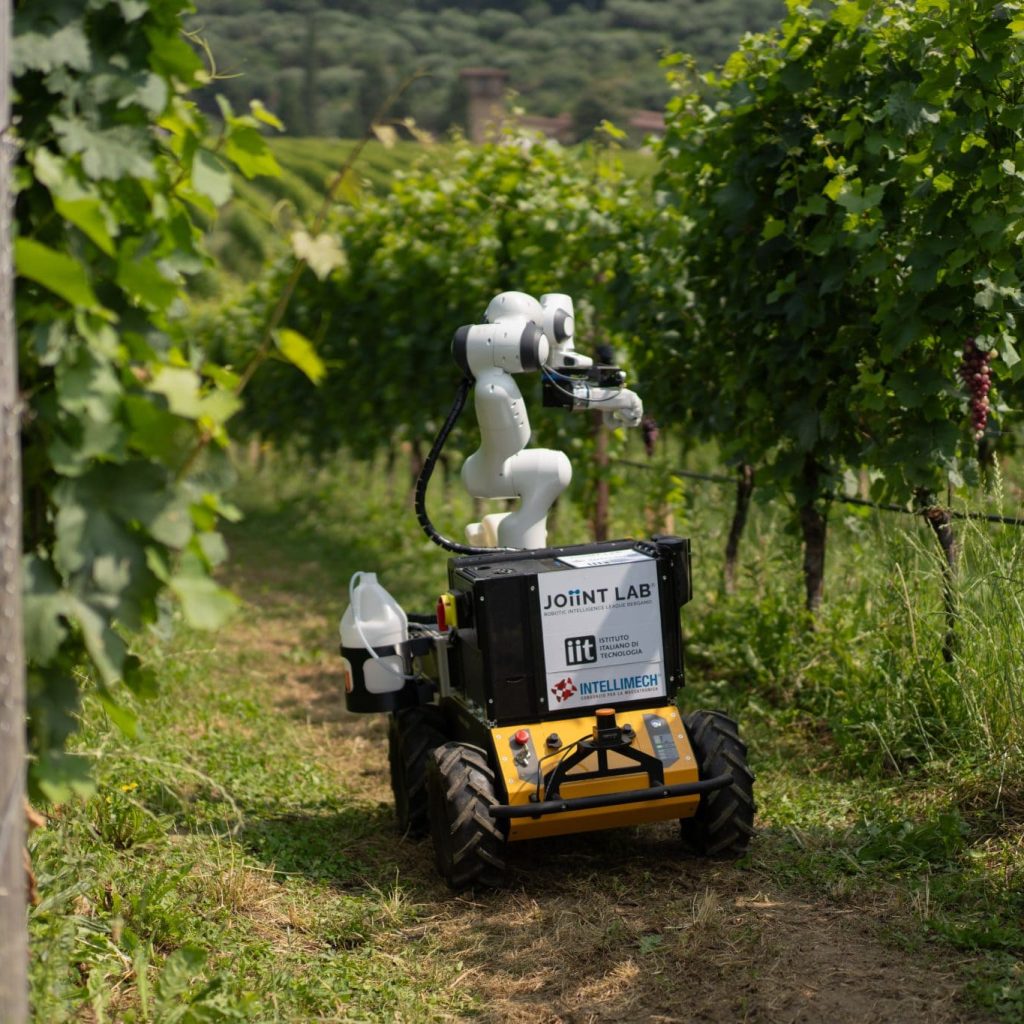 Robots for vineyard cultivation: Frasky’s precision farming