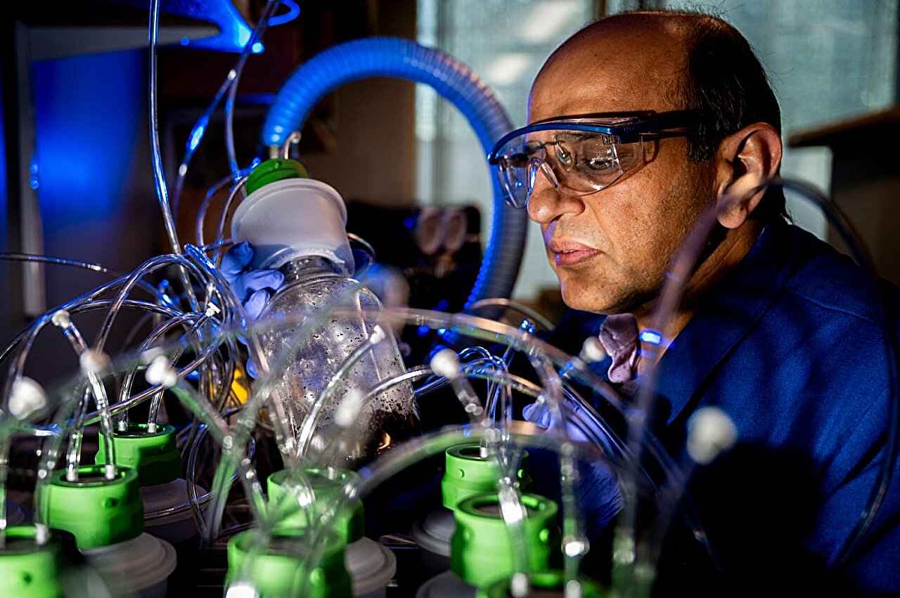 Biodegradable electronics and hidden environmental impacts